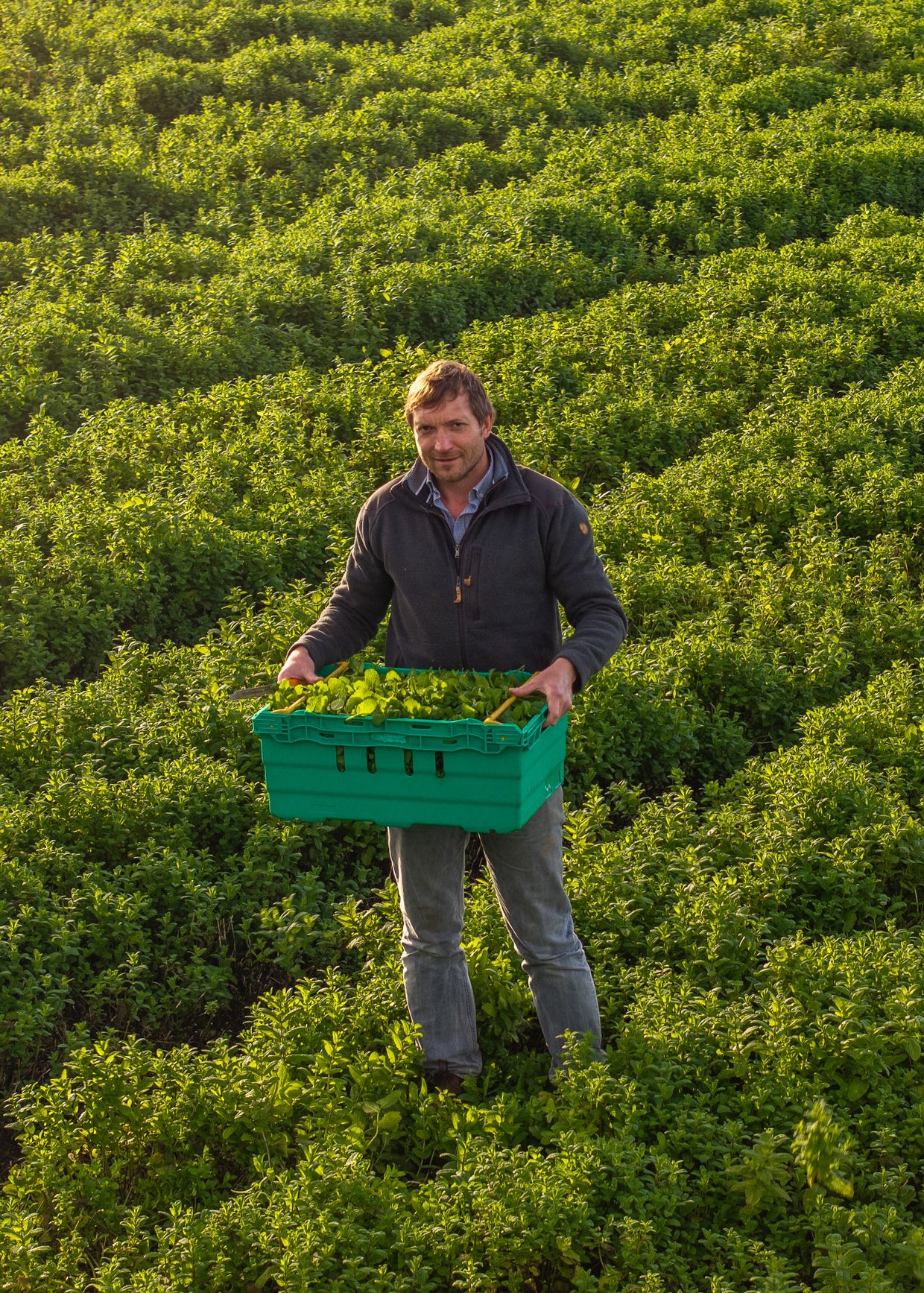 About Us – Rabbit Boxes